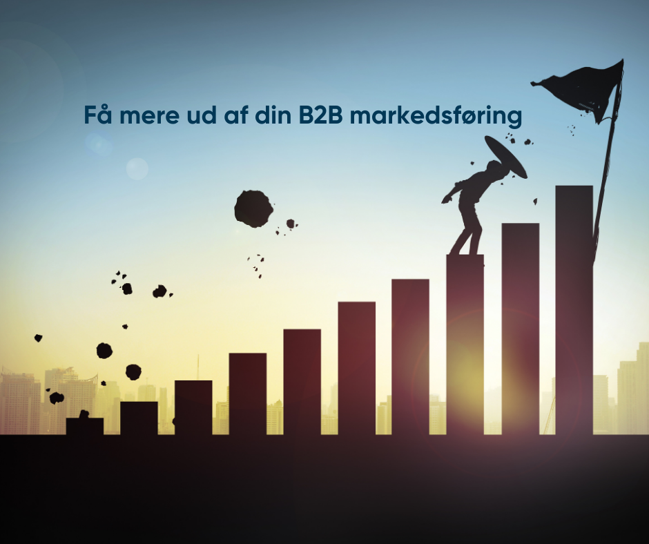 Hvordan får du mest ud af din online markedsføring som B2B virksomhed? - Lead Your Way